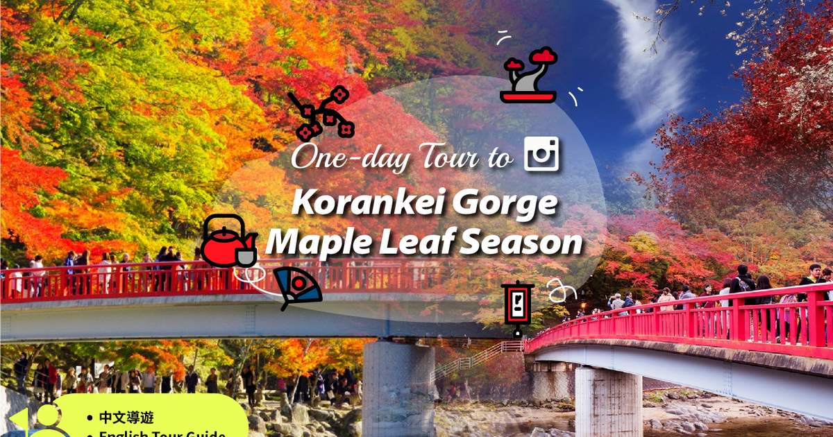 [November and December maple viewing season only] Nagoya Torakeizan ...